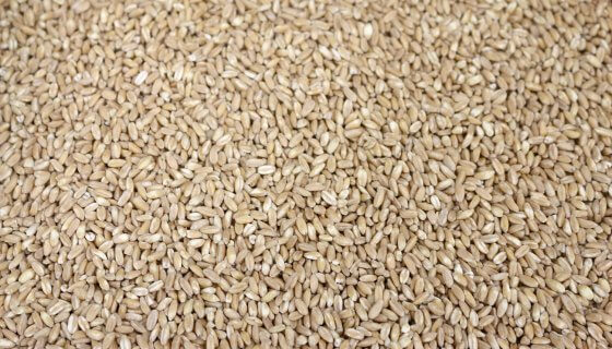 The Source Bulk Foods | Organic Wholefoods | Health Food Store