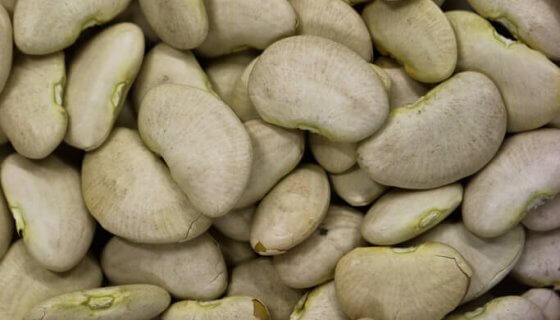 The Source Bulk Foods | Organic Wholefoods | Health Food Store